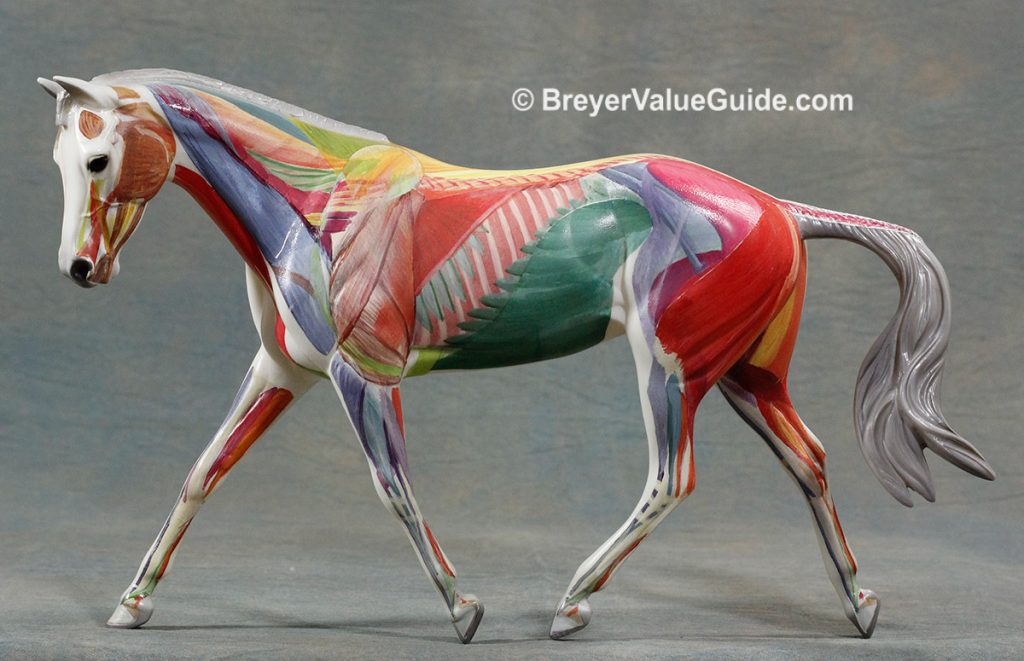 Anatomy in Motion | Breyer Value Guide