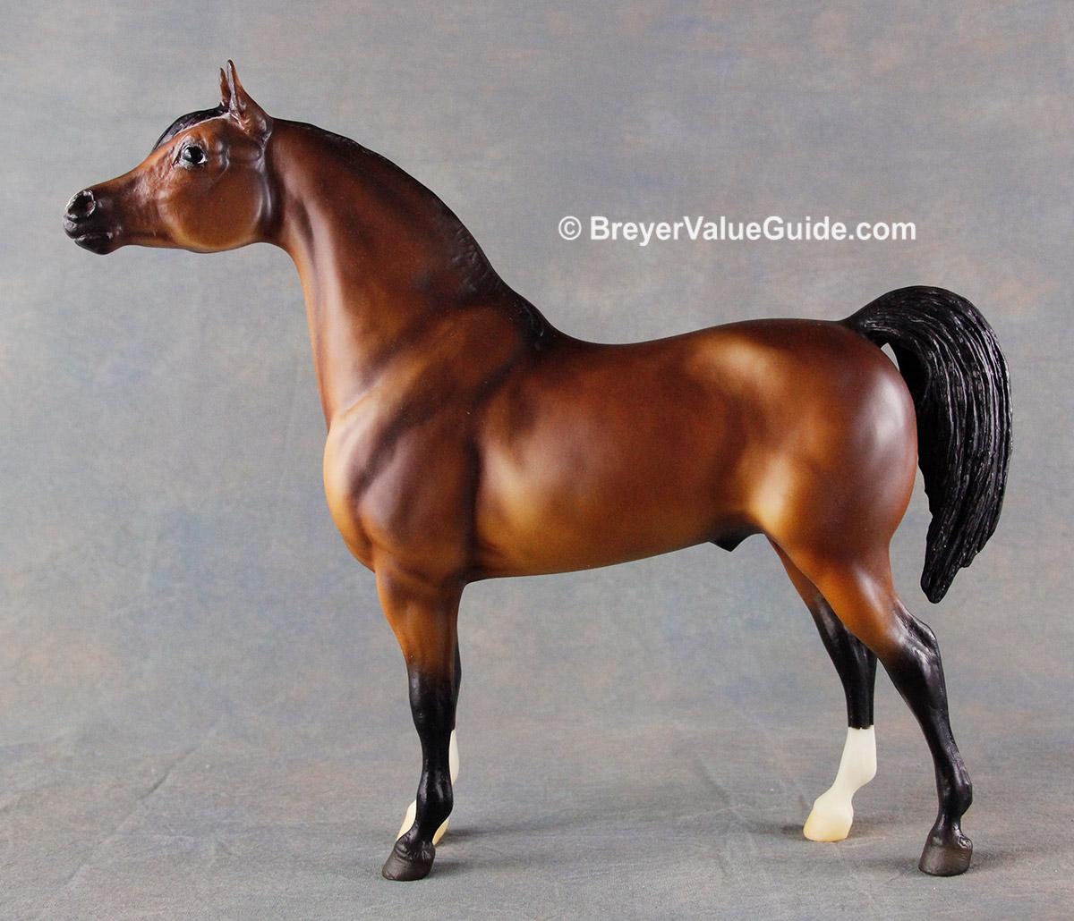 Bay Egyptian Arabian