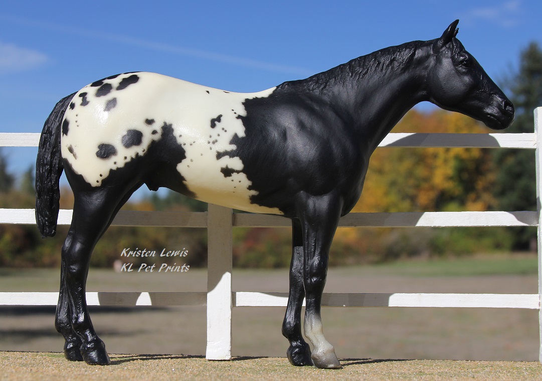 Stud Spider – Appaloosa | Breyer Value Guide